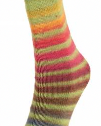 PAINT SOCK | The Yarn Sellar